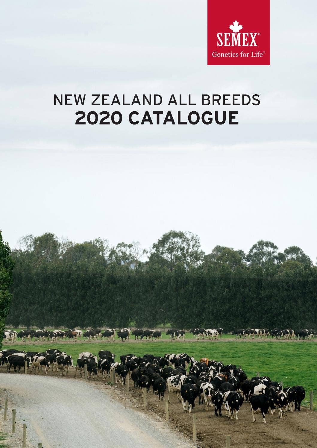 Semex New Zealand 2020 All Breeds Sire Catalogue by Semex - Issuu