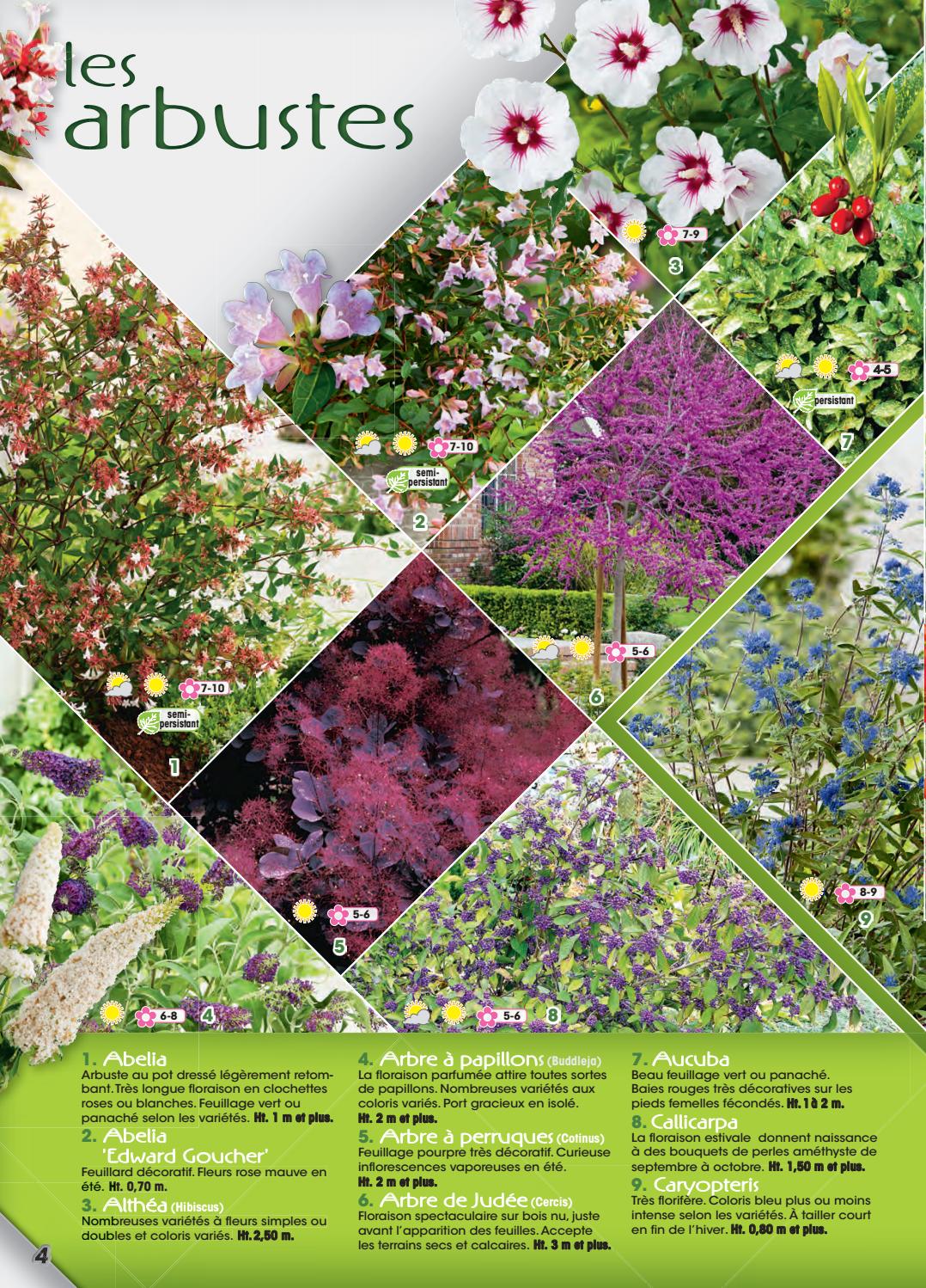 arbustes_catalogue by SITTI - Issuu