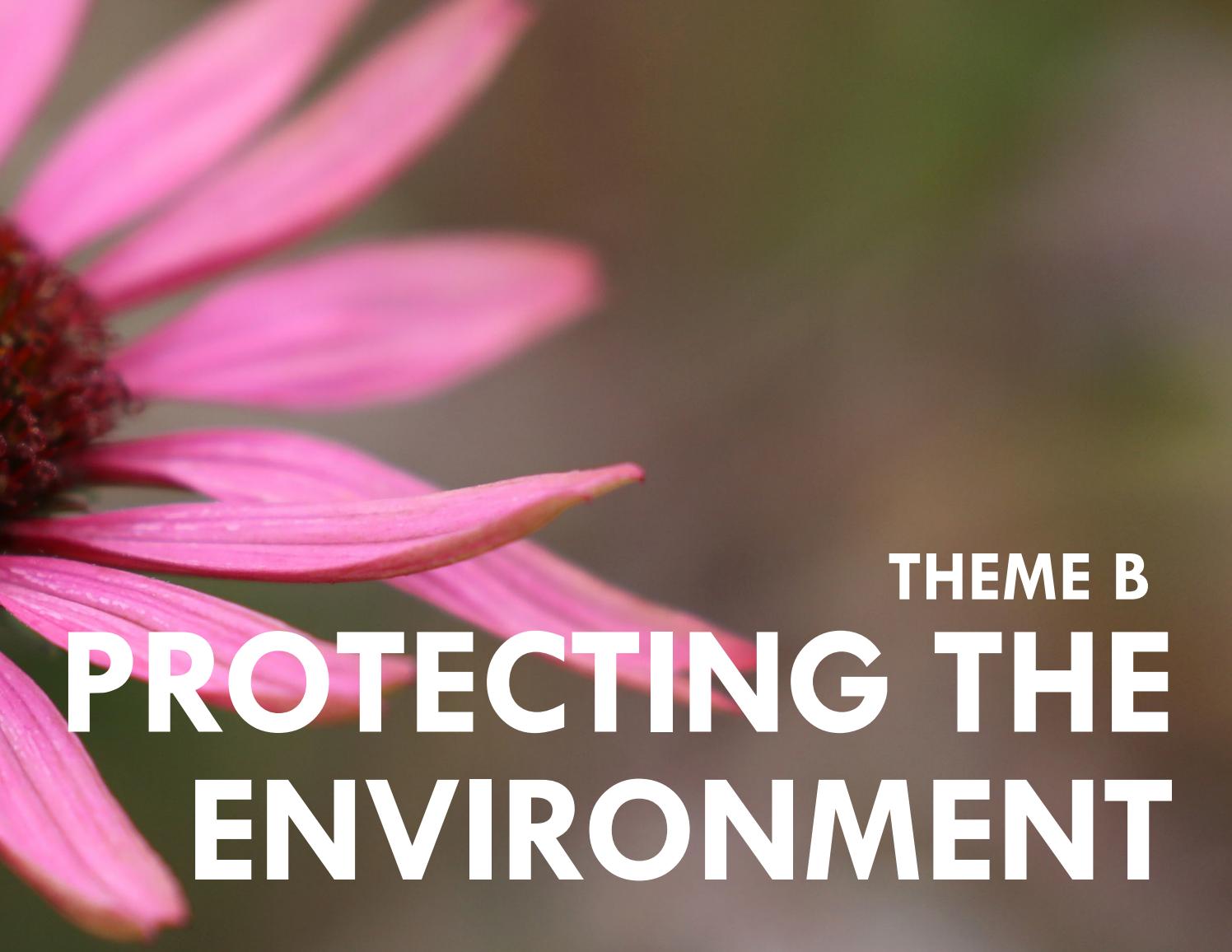 Theme B: Protecting the Environment by ImagineLex - Issuu