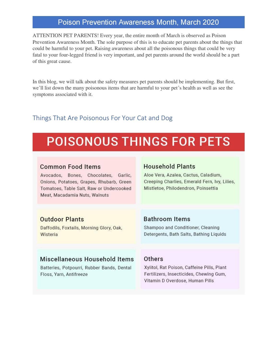 Poison Prevention Awareness Month, March 2020 by BudgetVetCare - Issuu