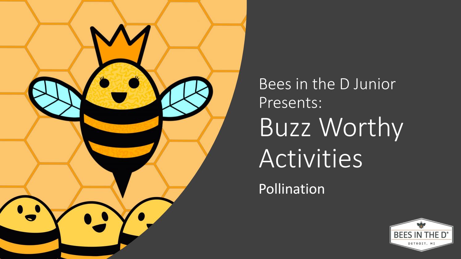 Pollination by Bees in the D - Issuu