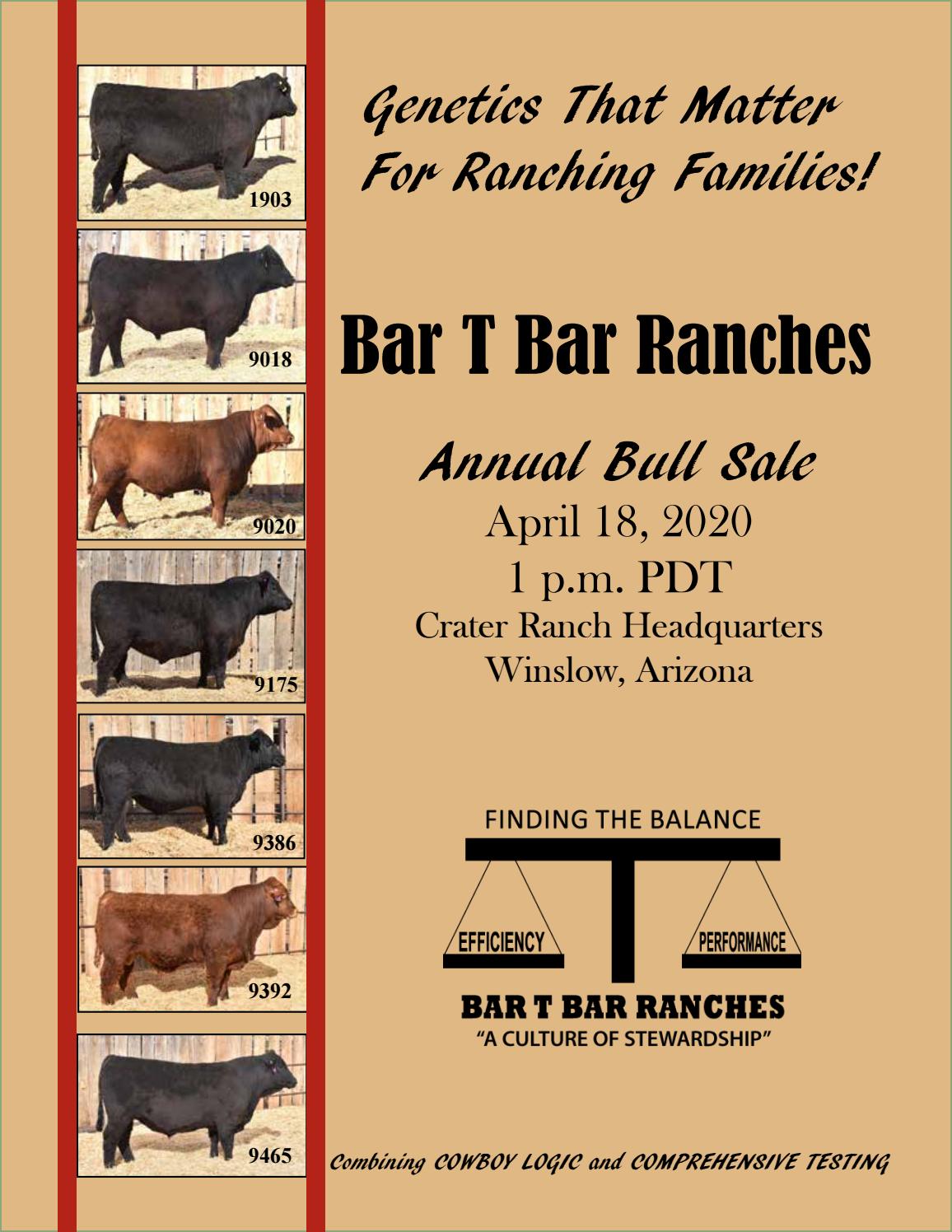 Bar T Bar Ranches Annual Bull Sale by American Gelbvieh Association - Issuu