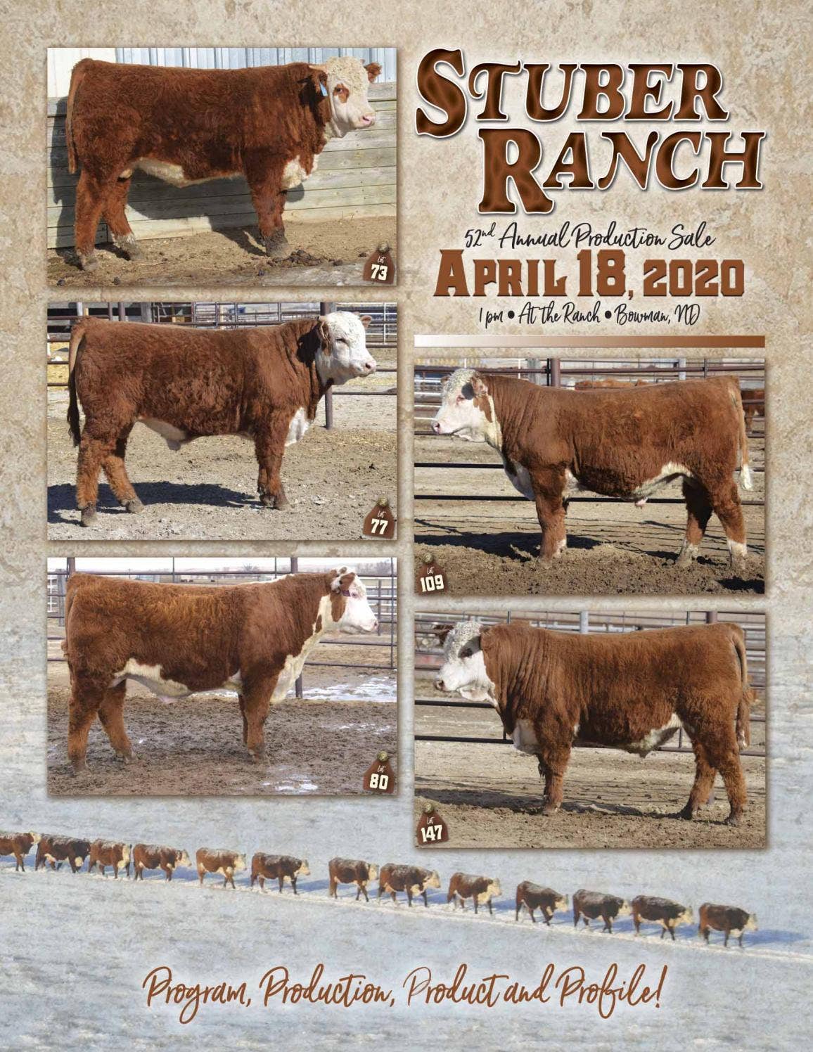 Stuber Ranch 52nd Annual Production Sale by American Hereford ...