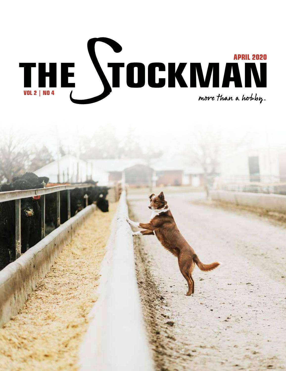 The Stockman | April 2020 by The Stockman - Issuu
