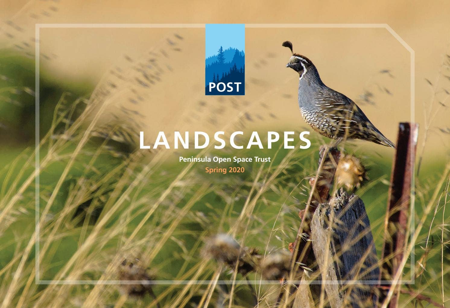 Spring Landscapes - 2020 by Peninsula Open Space Trust - Issuu