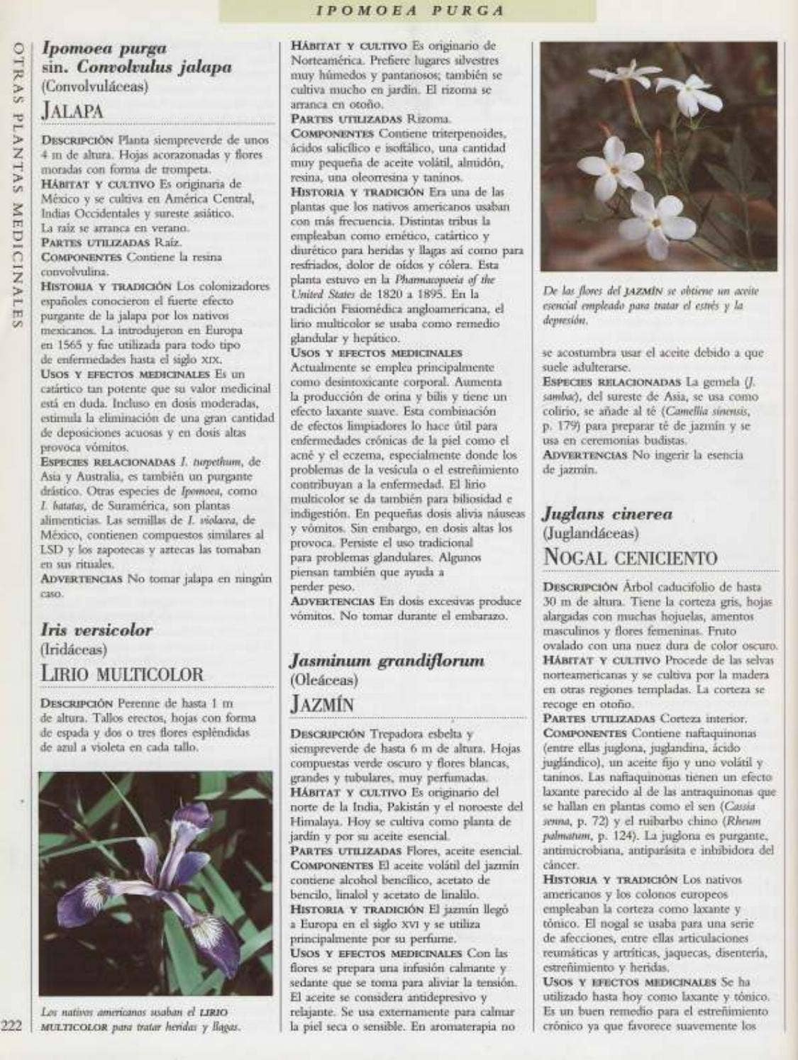 ENCICLOPEDIA DE LAS PLANTAS MEDICINALES by Art Cárdenas - Issuu