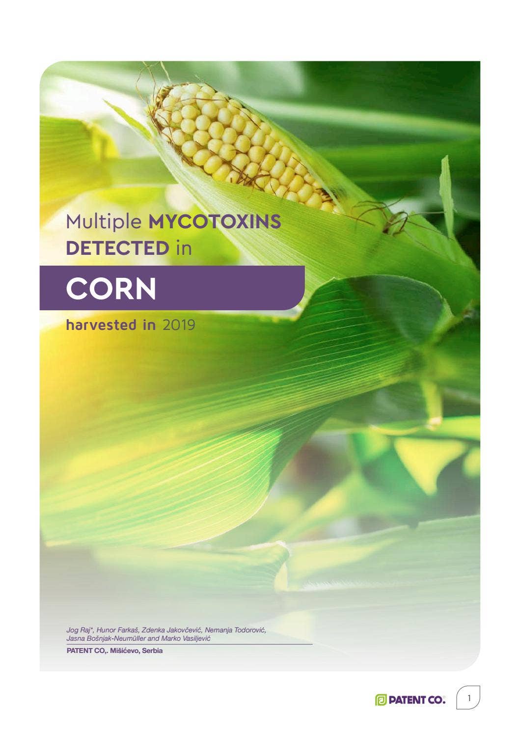 Multiple mycotoxins detected in corn harvested in 2019 by agriNews - Issuu