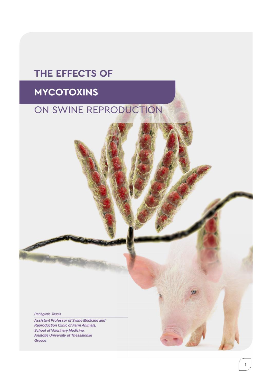 The effects of mycotoxins on swine reproduction by agriNews - Issuu