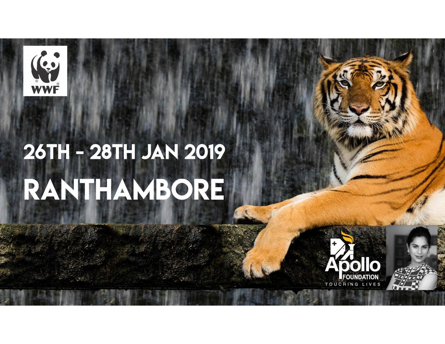 wwf by Shibu Sam - Issuu