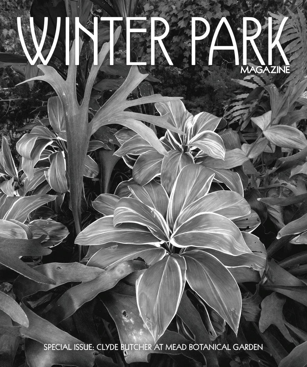 Winter Park Magazine Winter 2017 by Winter Park Publishing Company - Issuu