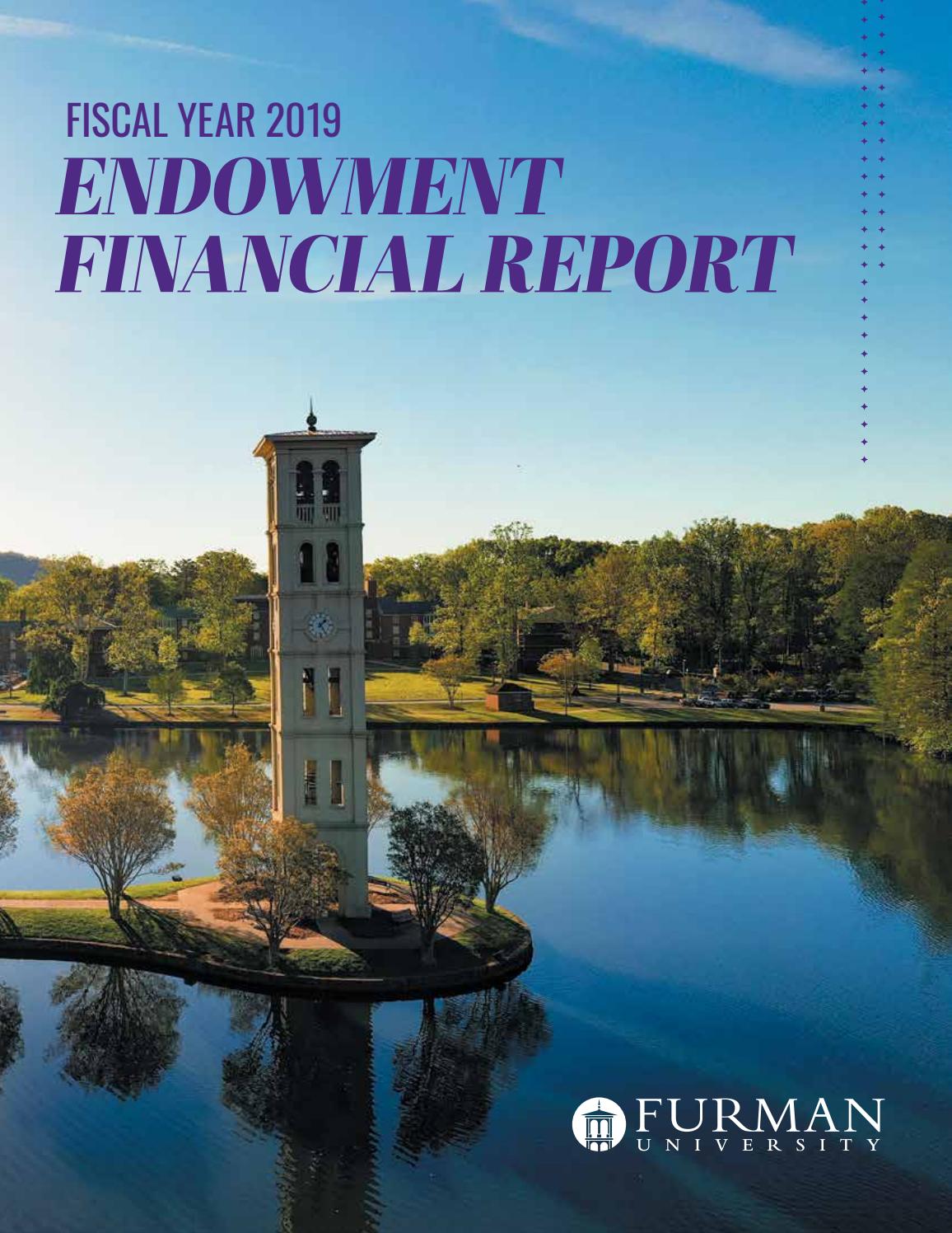 Fiscal Year 2019 Endowment Financial Report by Furman University - Issuu