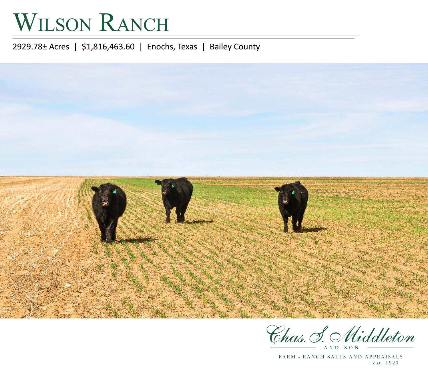 Wilson Ranch by csmandson - Issuu