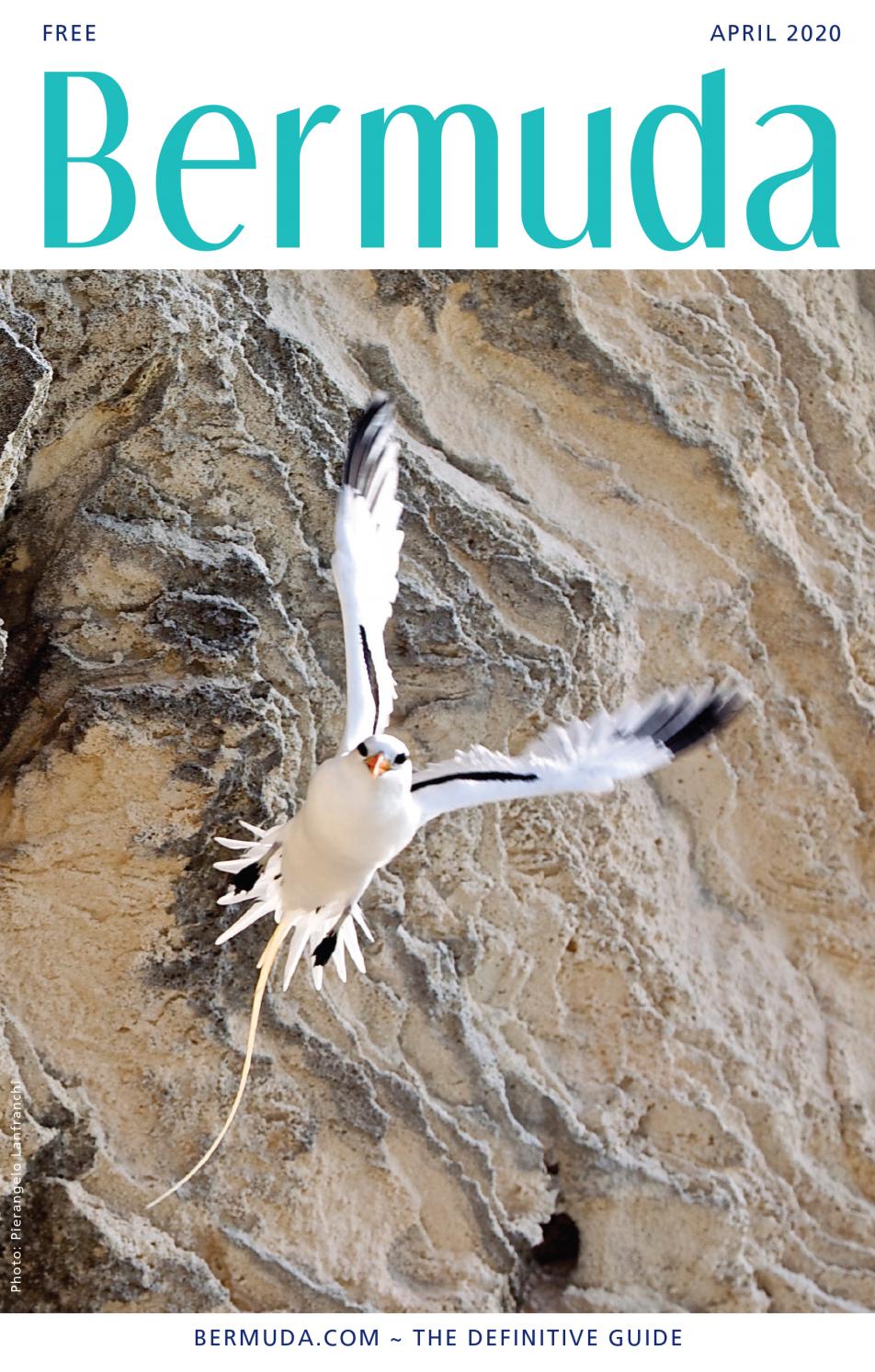 Bermuda Magazine 2020 Spring by Bermuda Magazine - Issuu