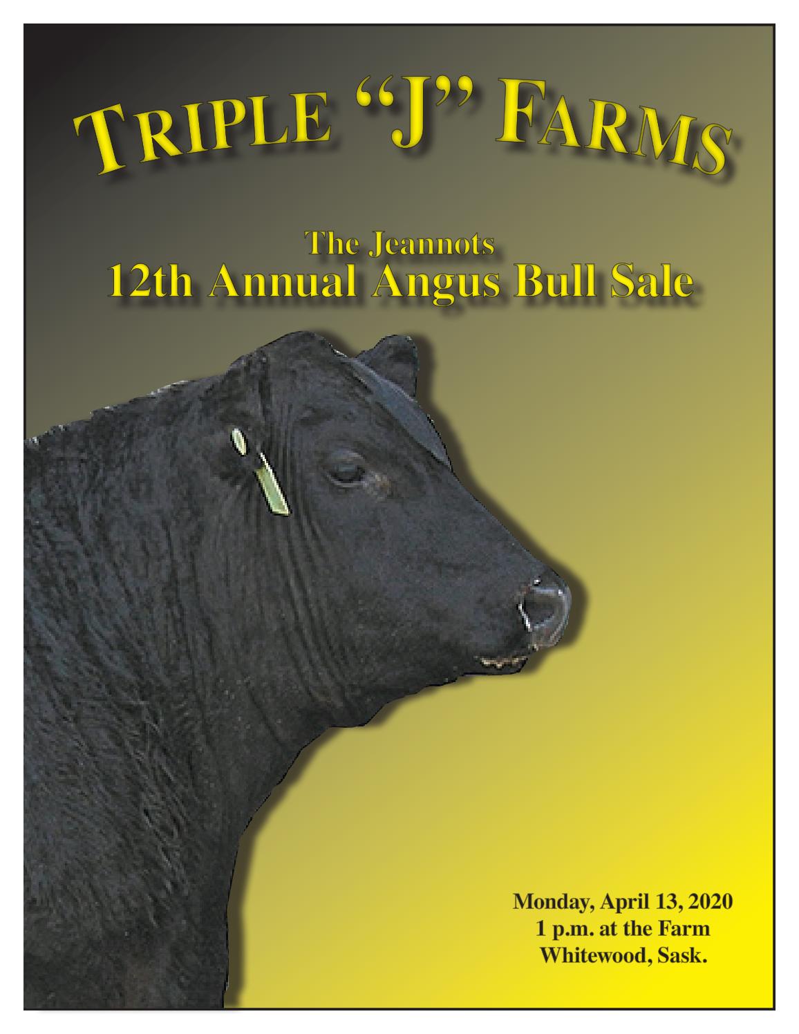 Triple J Farms 12th Annual Angus Bull Sale -Whitewood, SK by DLMS ...