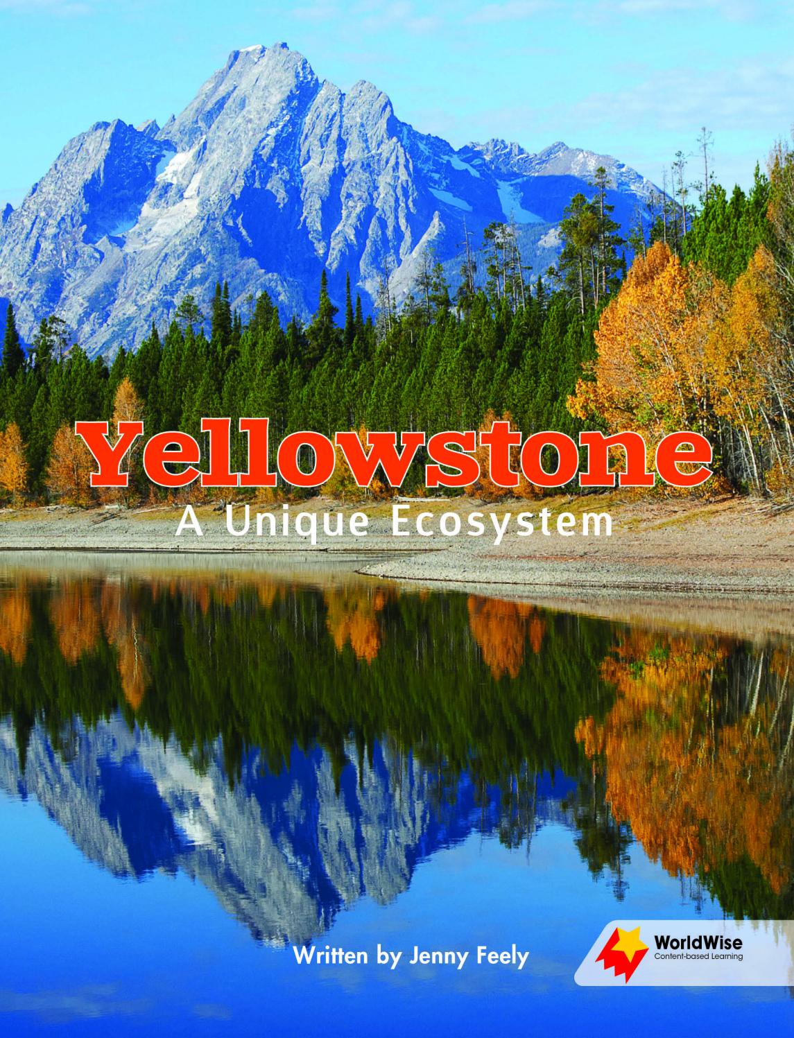 Yellowstone: A Unique Ecosystem by Okapi - Issuu