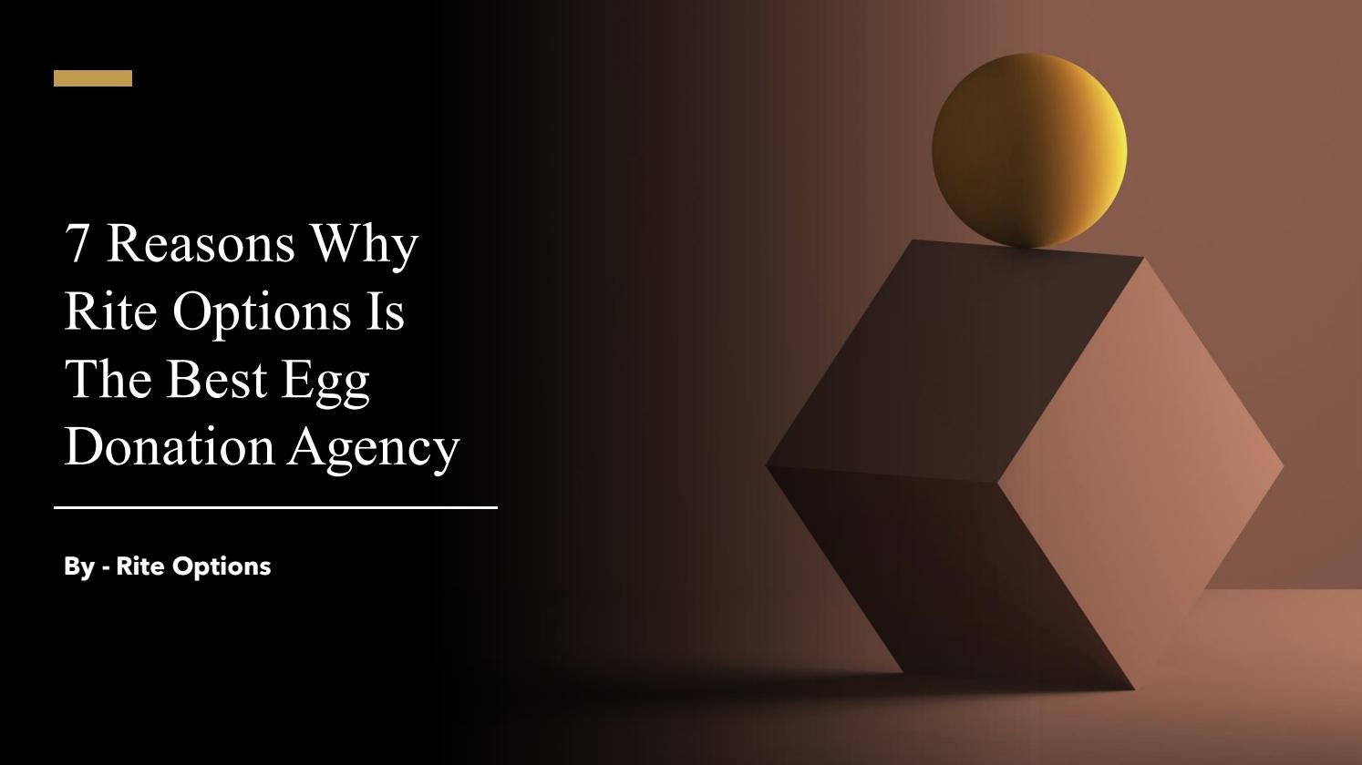 7 Reasons Why Rite Options Is The Best Egg Donation Agency by Rite Options - Issuu