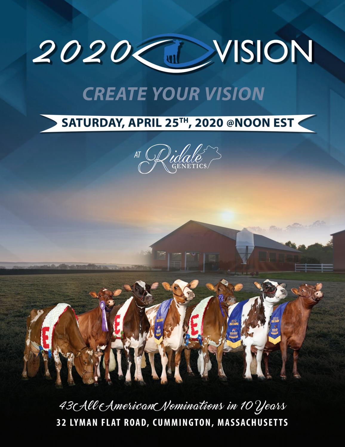 2020 Vision Sale Catalog by marjorie.rida - Issuu