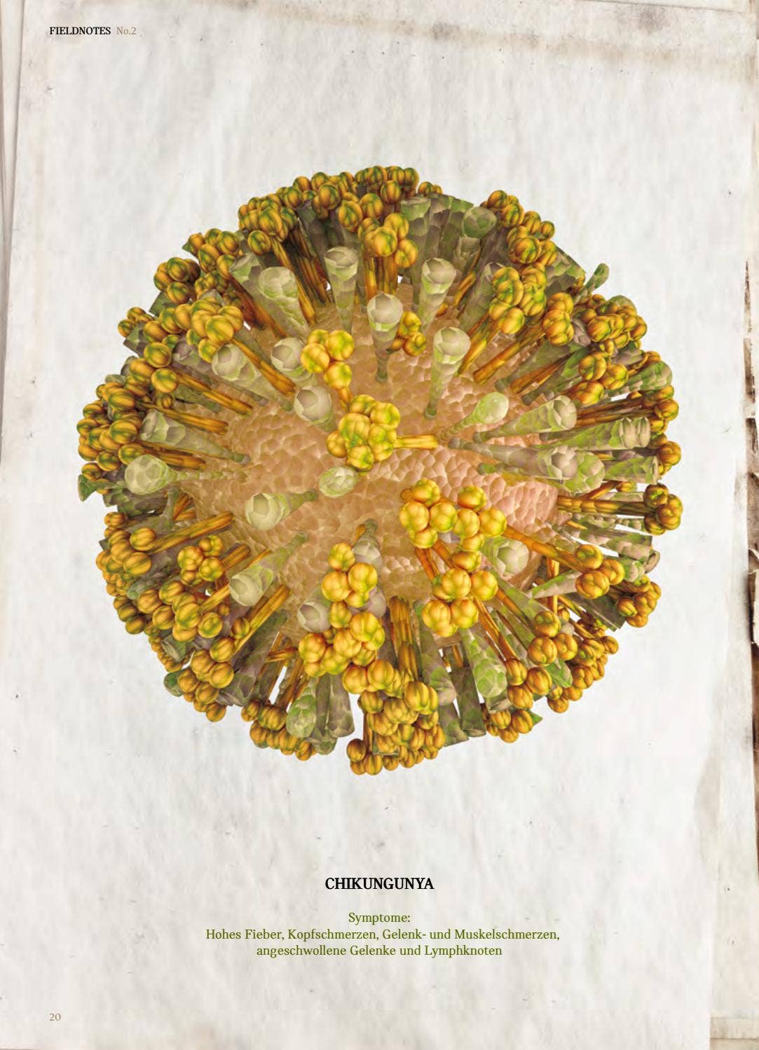 FIELDNOTES_2 by aplus-net - Issuu