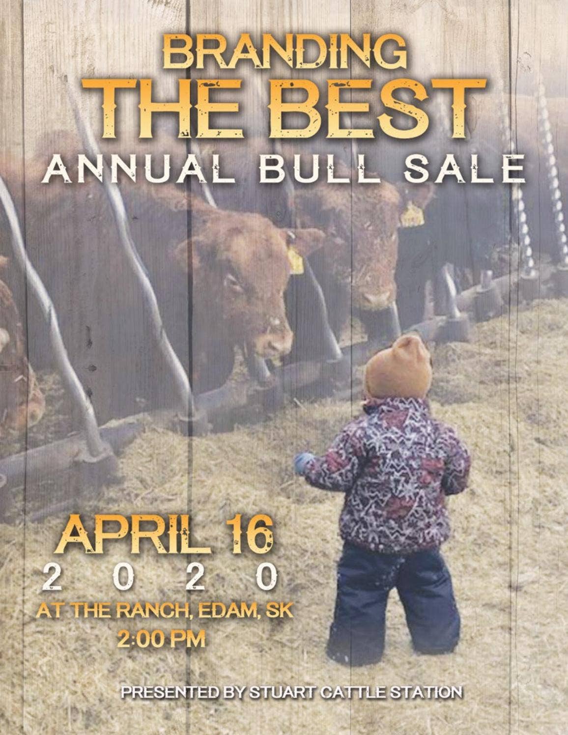 Stuart Cattle Station Annual Bull Sale by Today's Publishing Inc. - Issuu