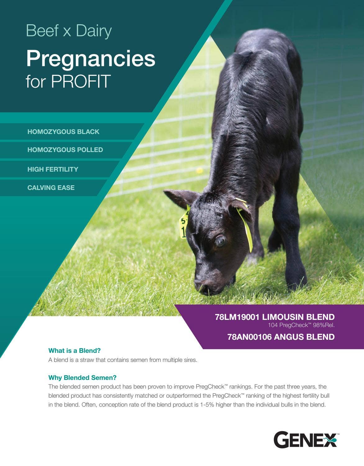 GENEX Holstein Sires by GENEX - Issuu
