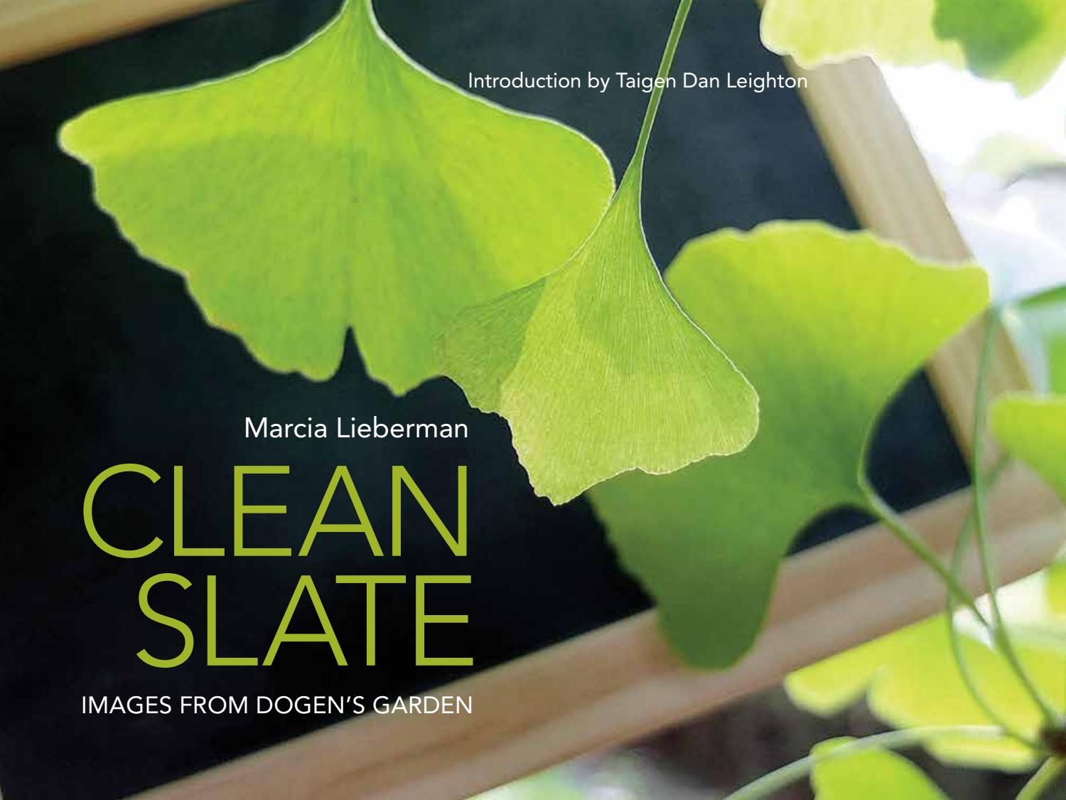 Clean Slate by ACC Art Books - Issuu