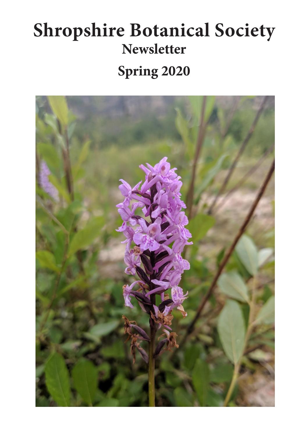Shropshire Botanical Society Spring Newsletter 2020, No. 40 by ...