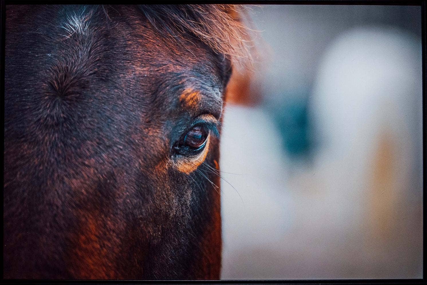 Overture Spring 2020 Galleries - Playhouse Gallery: Earthly Kin by ...