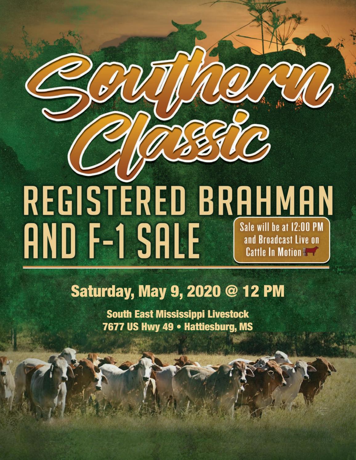 Southern Classic Registered Brahman and F-1 Sale by Cattle In Motion ...