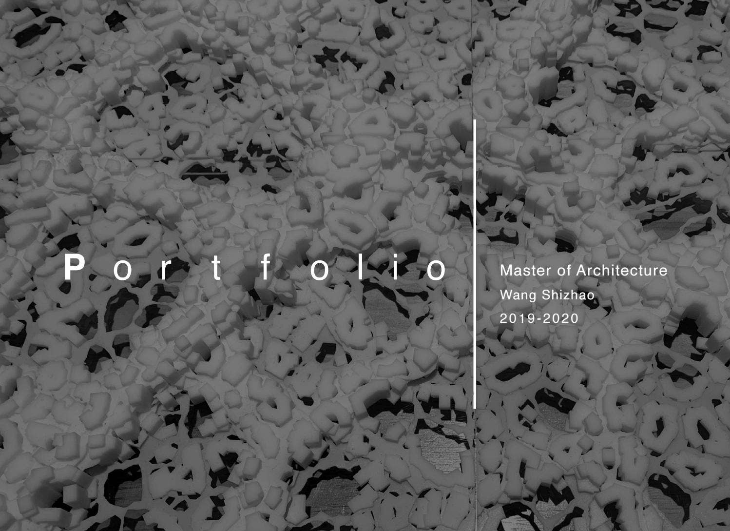 Application portfolio for Master of Architecture by shizhao wang - Issuu