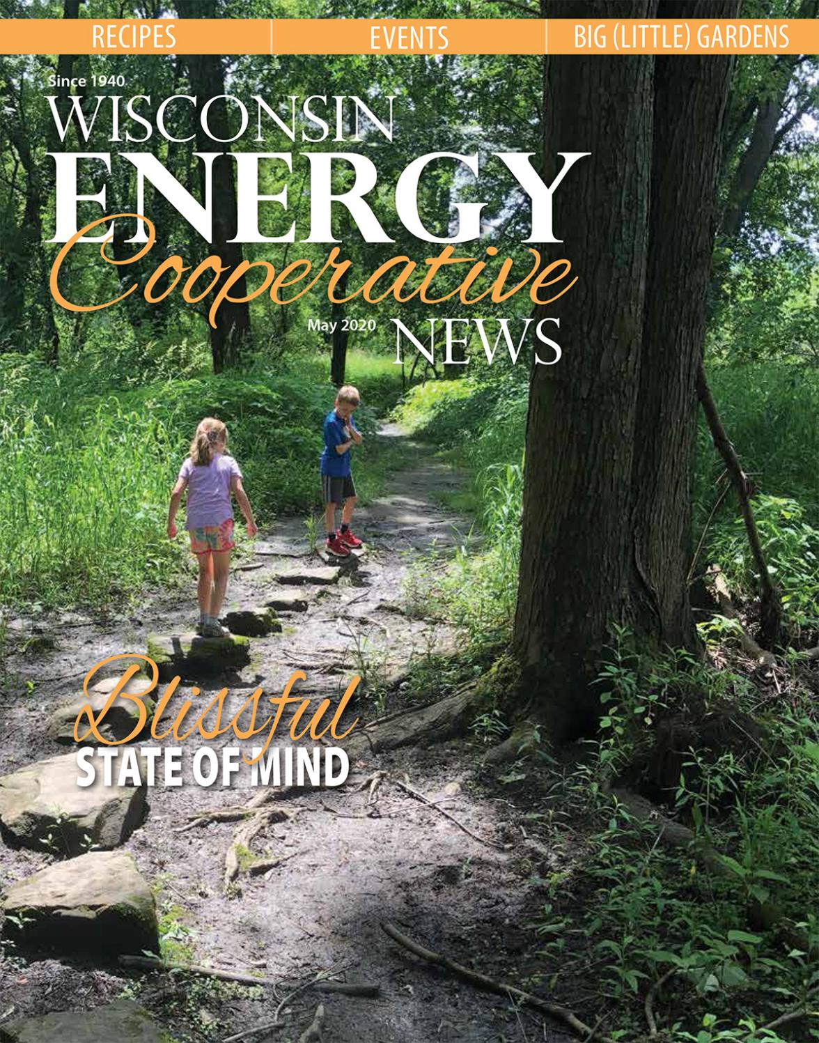 Wisconsin Energy Cooperative News May 2020 by American MainStreet ...