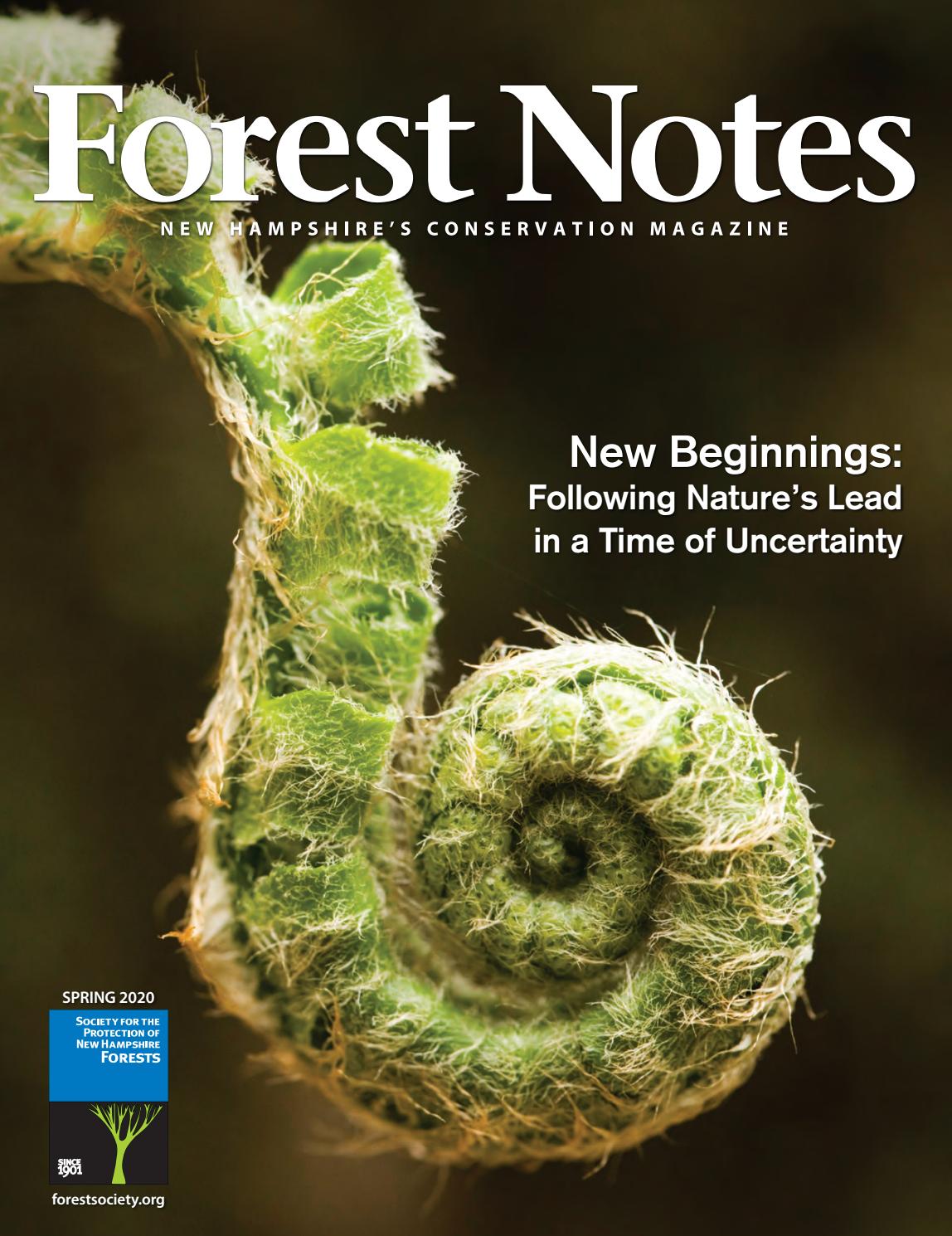 Forest Notes, Spring 2020 by Forest Society - Issuu