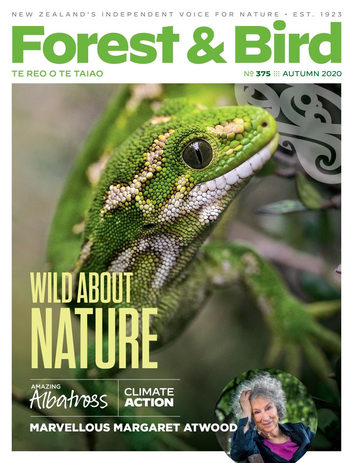 Forest & Bird Magazine 375 Autumn 2020 by Forest & Bird - Issuu