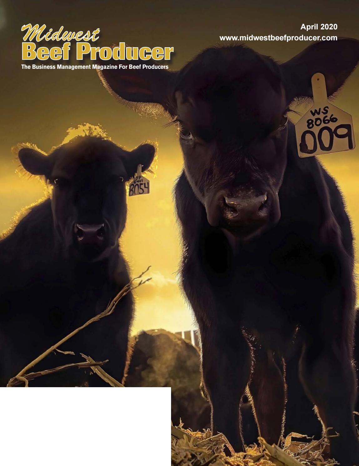 April 2020 - Midwest Beef Producer Magazine by American Beef Producer ...