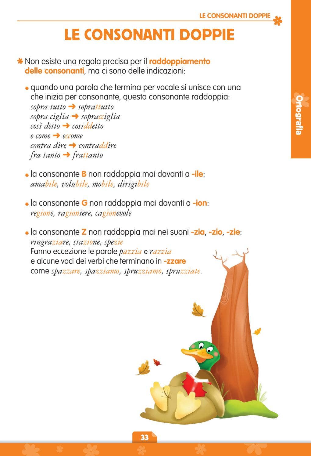 Grammatica Italiana per la scuola Primaria by ELI Publishing - Issuu
