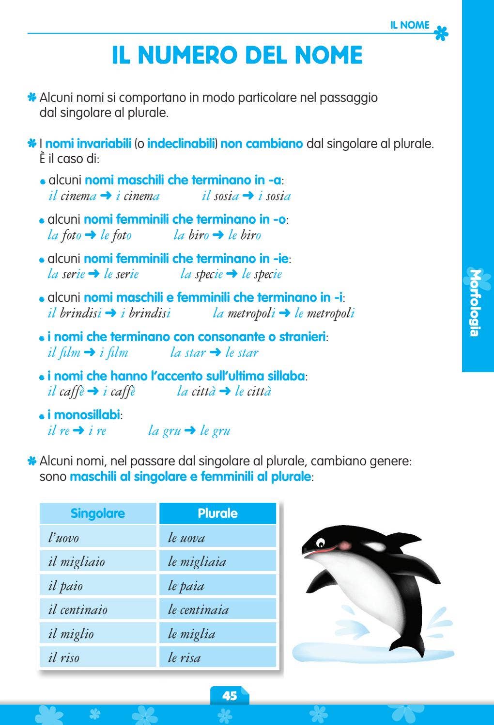 Grammatica Italiana per la scuola Primaria by ELI Publishing - Issuu
