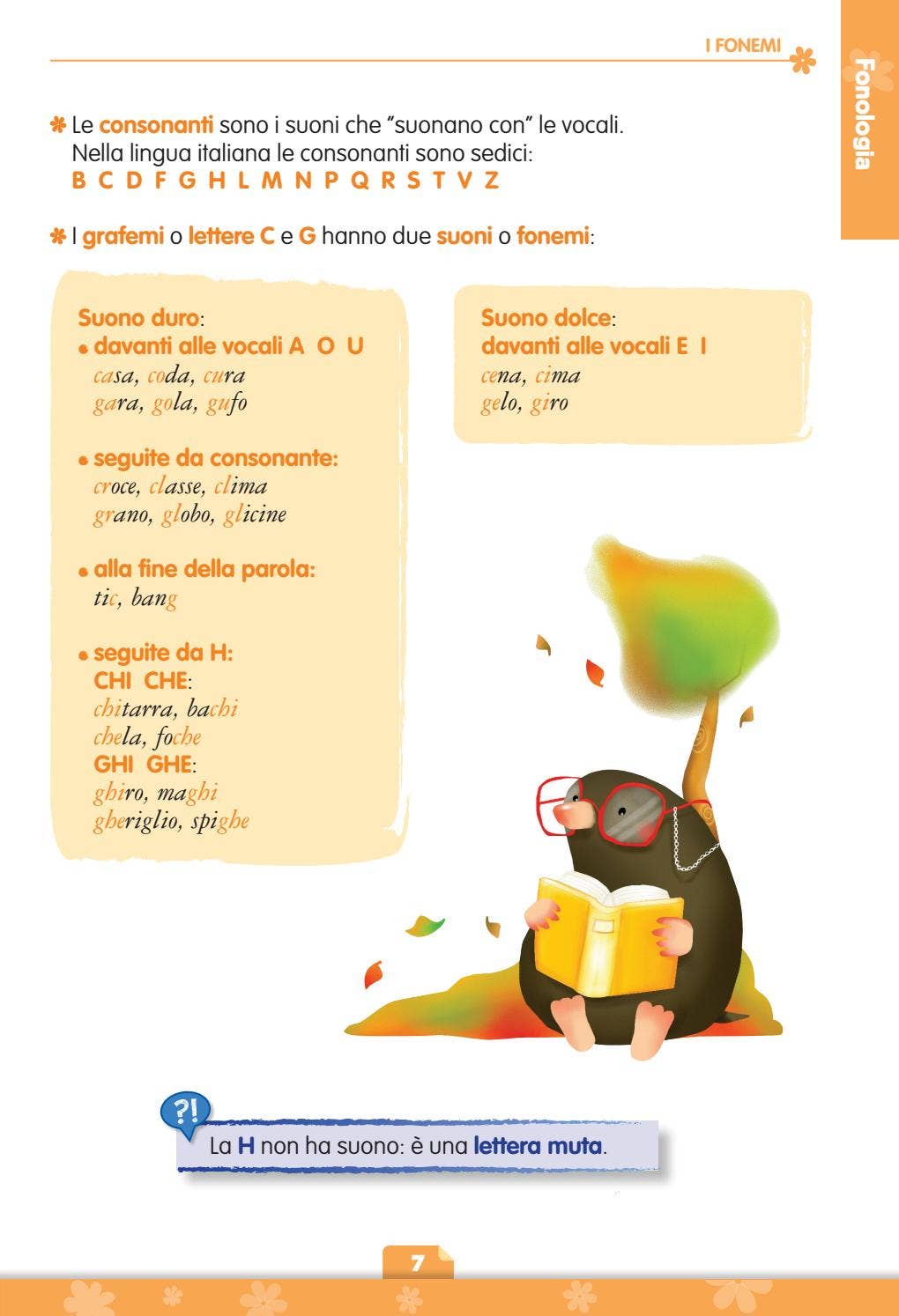 Grammatica Italiana per la scuola Primaria by ELI Publishing - Issuu