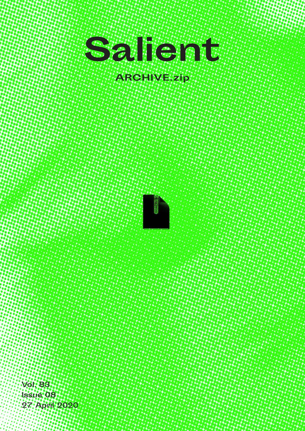 Issue 08 – ARCHIVE.zip by Salient - Issuu