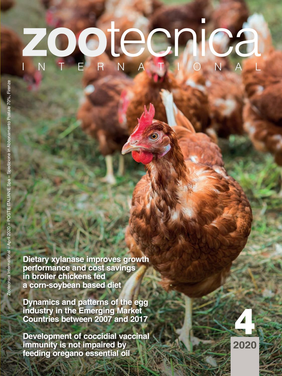 Zootecnica International - English edition - 04 April - 2020 by ...