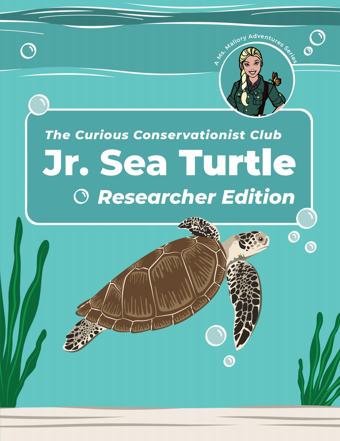 Ms Mallory Adventures Sea Turtle Activity Booklet by pipandcricket - Issuu
