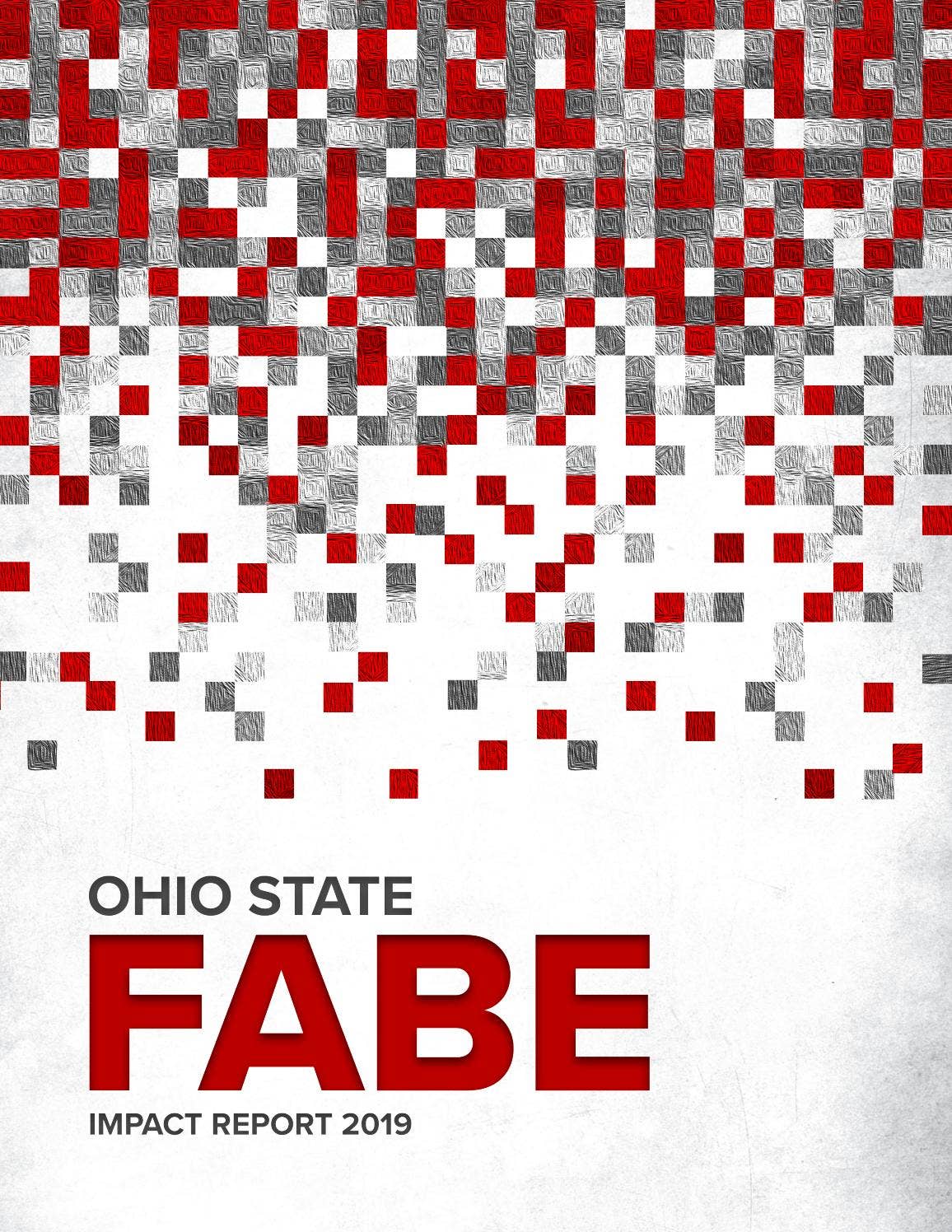 Ohio State FABE Impact Report 2019 by ohiostatefabe - Issuu