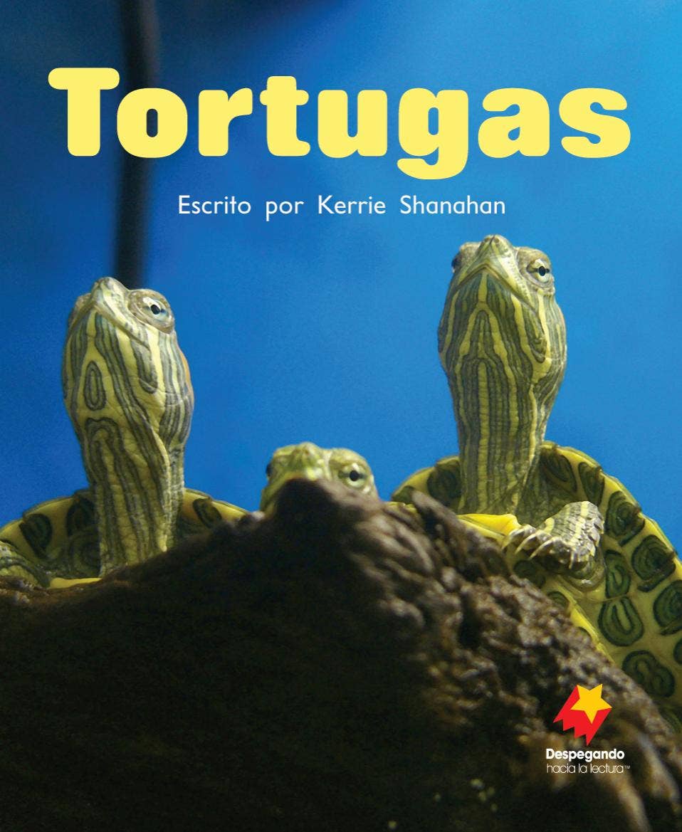 Turtles Spanish (Tortugas) by Okapi - Issuu
