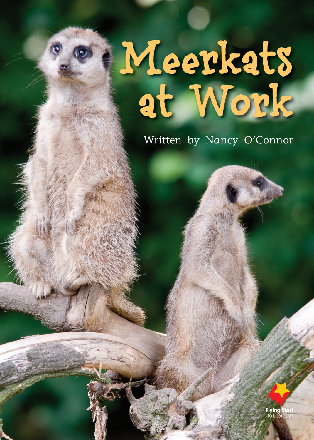 Meerkats at Work by Okapi - Issuu