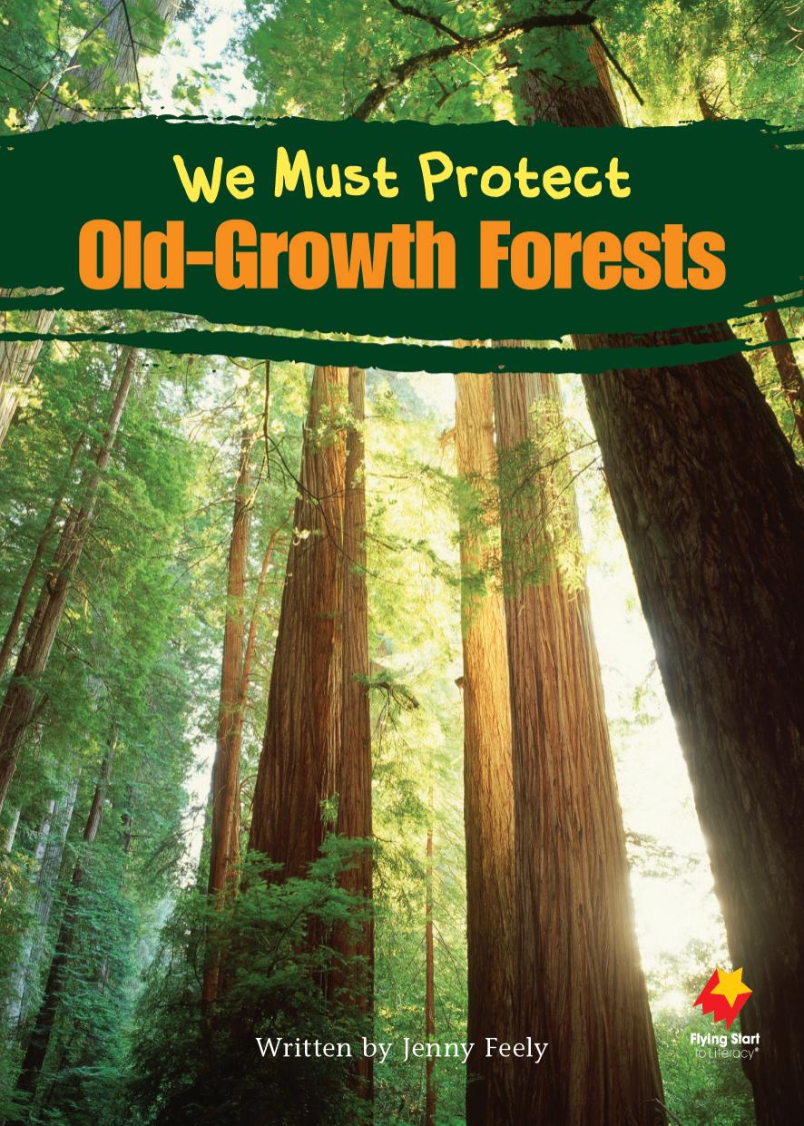 We Must Protect Old Growth Forests PDF by Okapi - Issuu