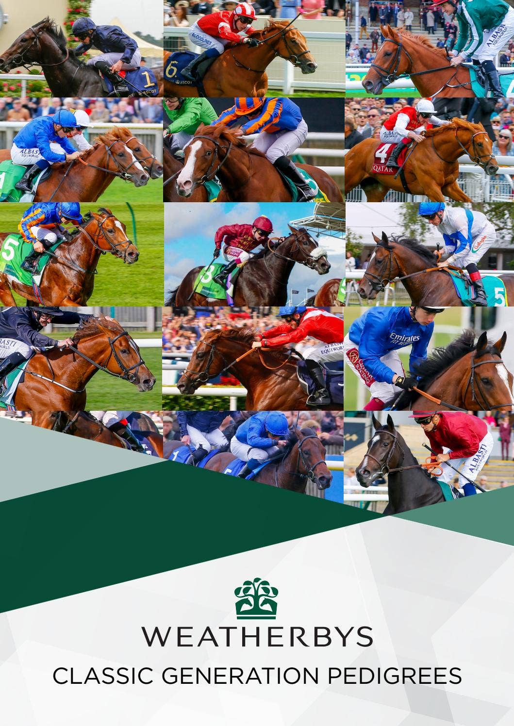 Classic Generation Pedigrees by Weatherbys - Issuu