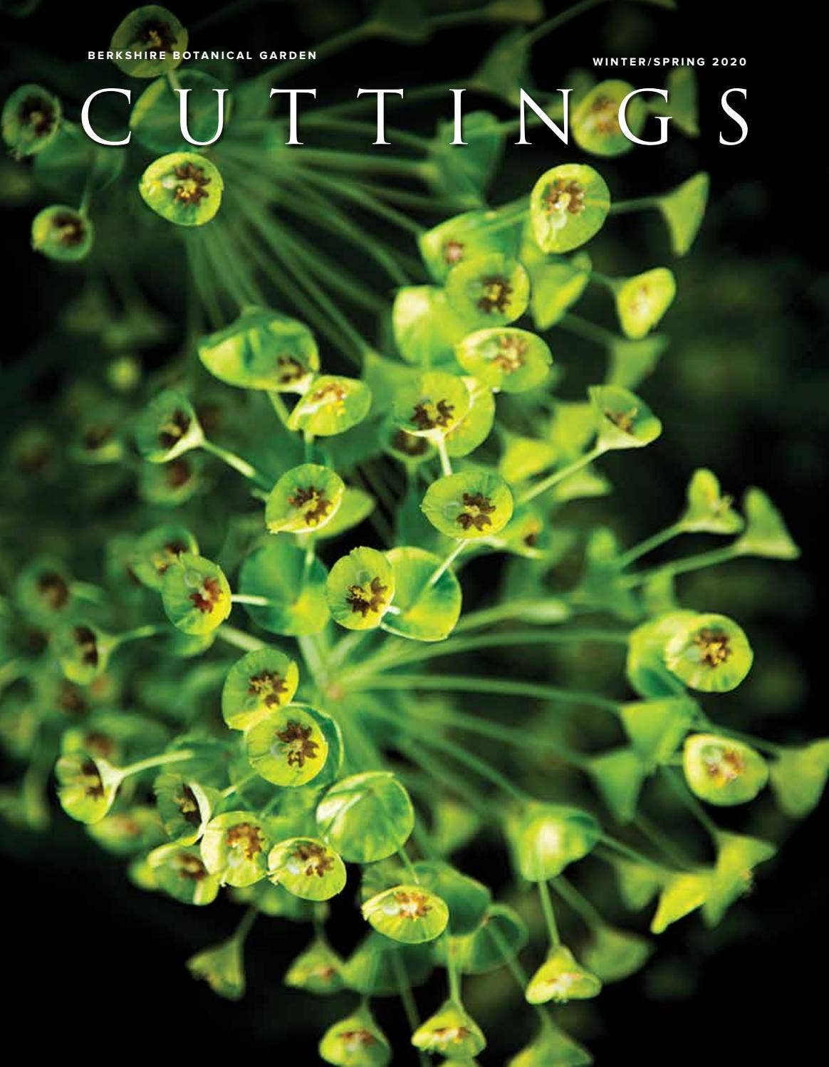 Winter/Spring 2020 by Berkshire Botanical Garden - Issuu