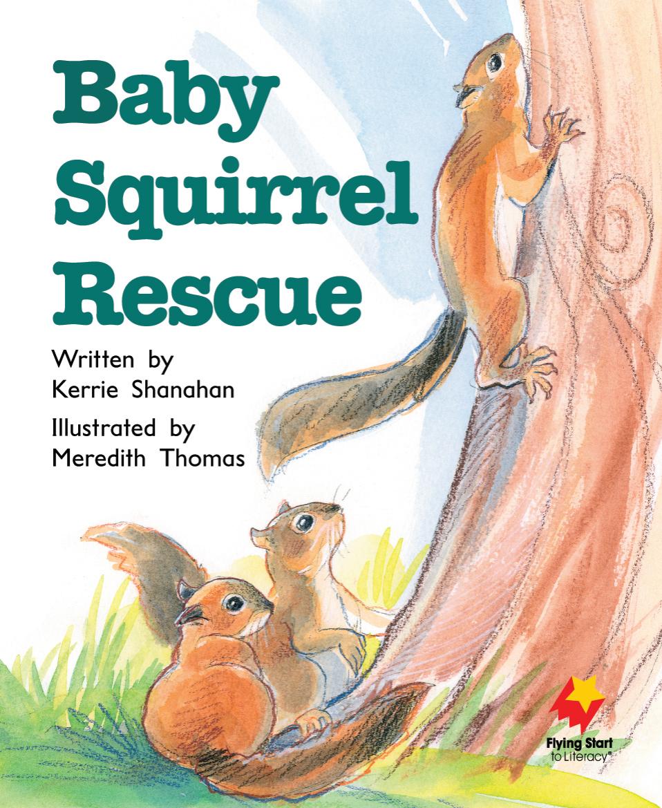 Baby Squirrel Rescue by Okapi - Issuu