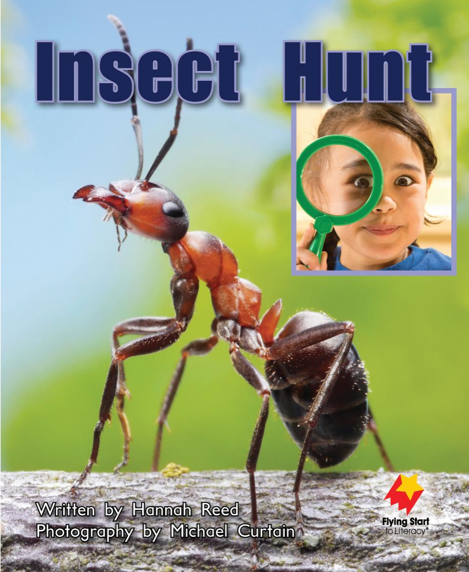 Insect Hunt by Okapi - Issuu