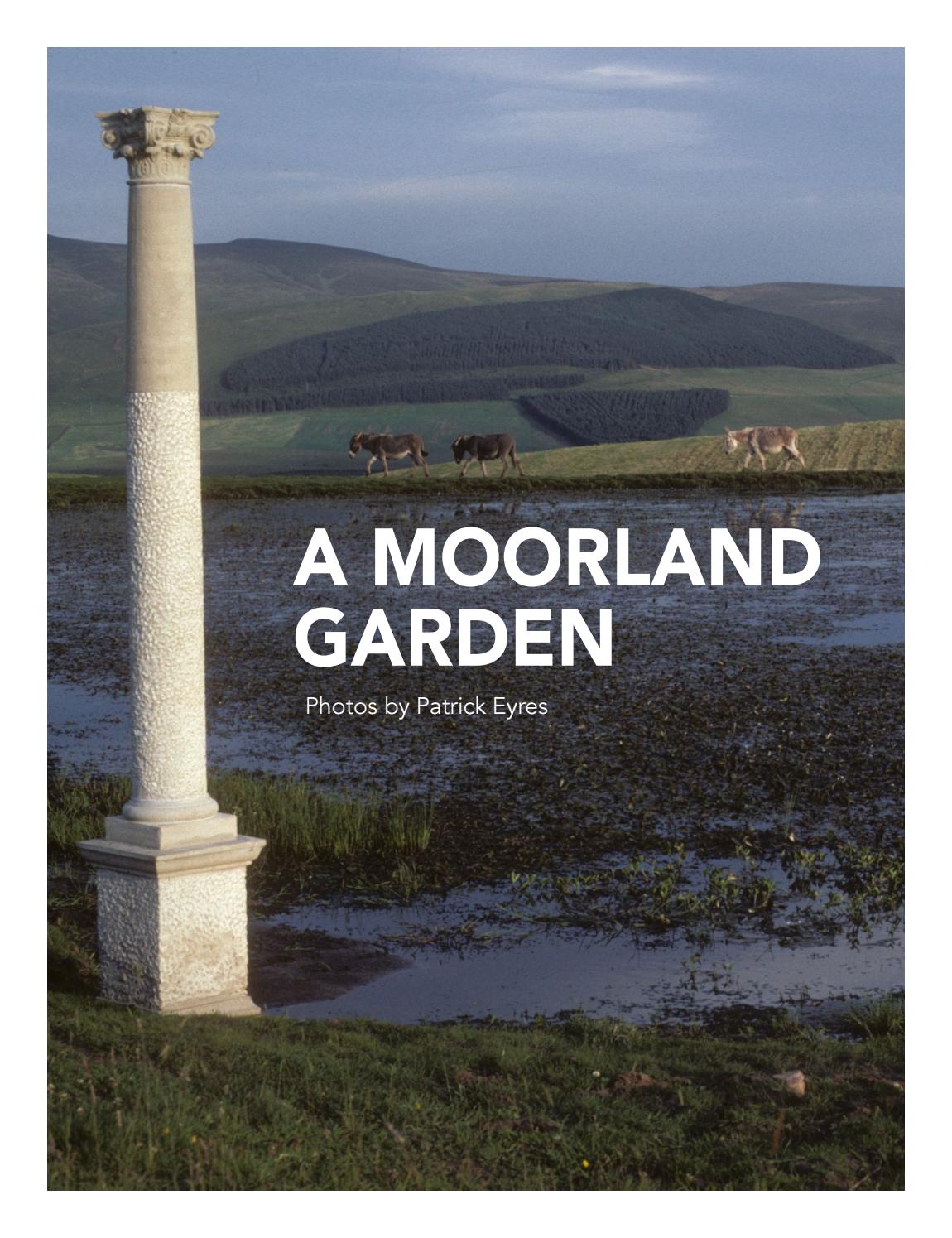 A Moorland Garden, with photos by Patrick Eyres by Little Sparta - Issuu