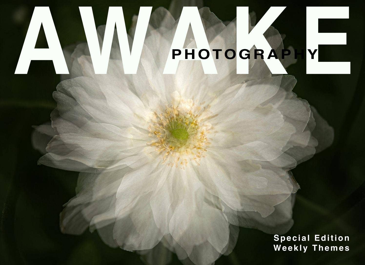 AWAKE Photography - Special Edition (Weekly Themes) by The Photo ...