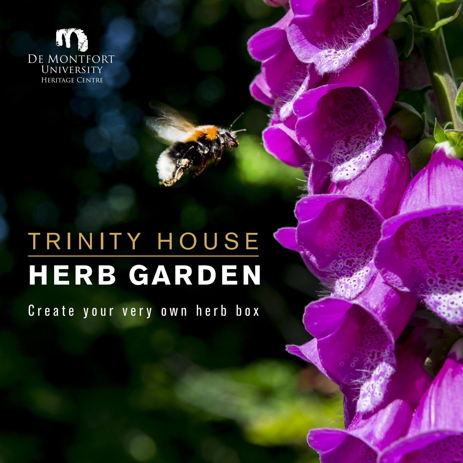 Trinity House Herb Garden by DMU Museum - Issuu